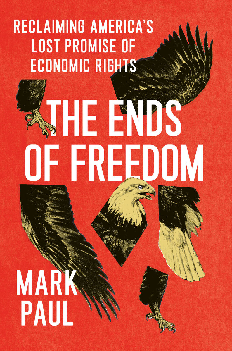 The Ends of Freedom: Reclaiming America's Lost Promise of Economic ...