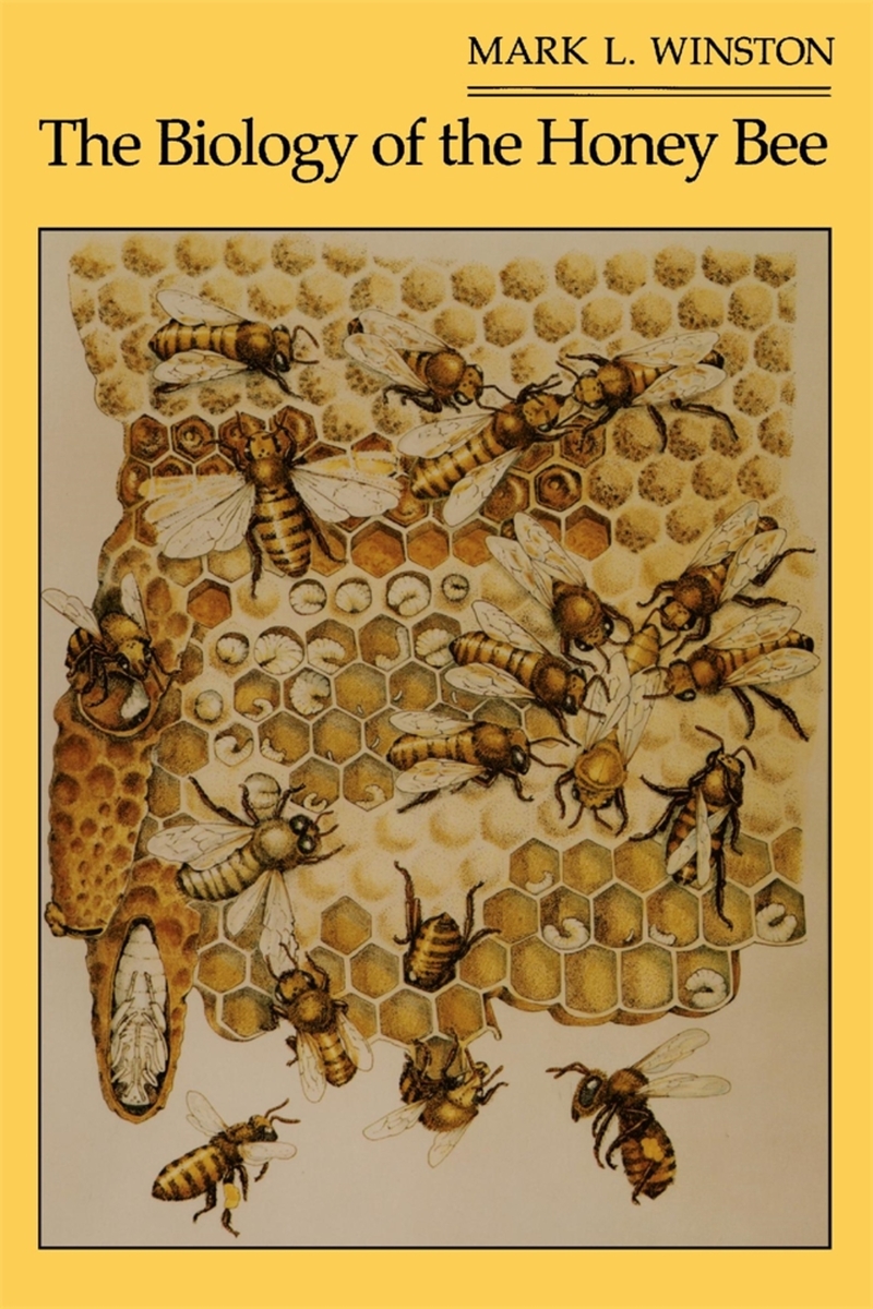 The Biology of the Honey Bee (9780674074095): Mark L. Winston - BiblioVault