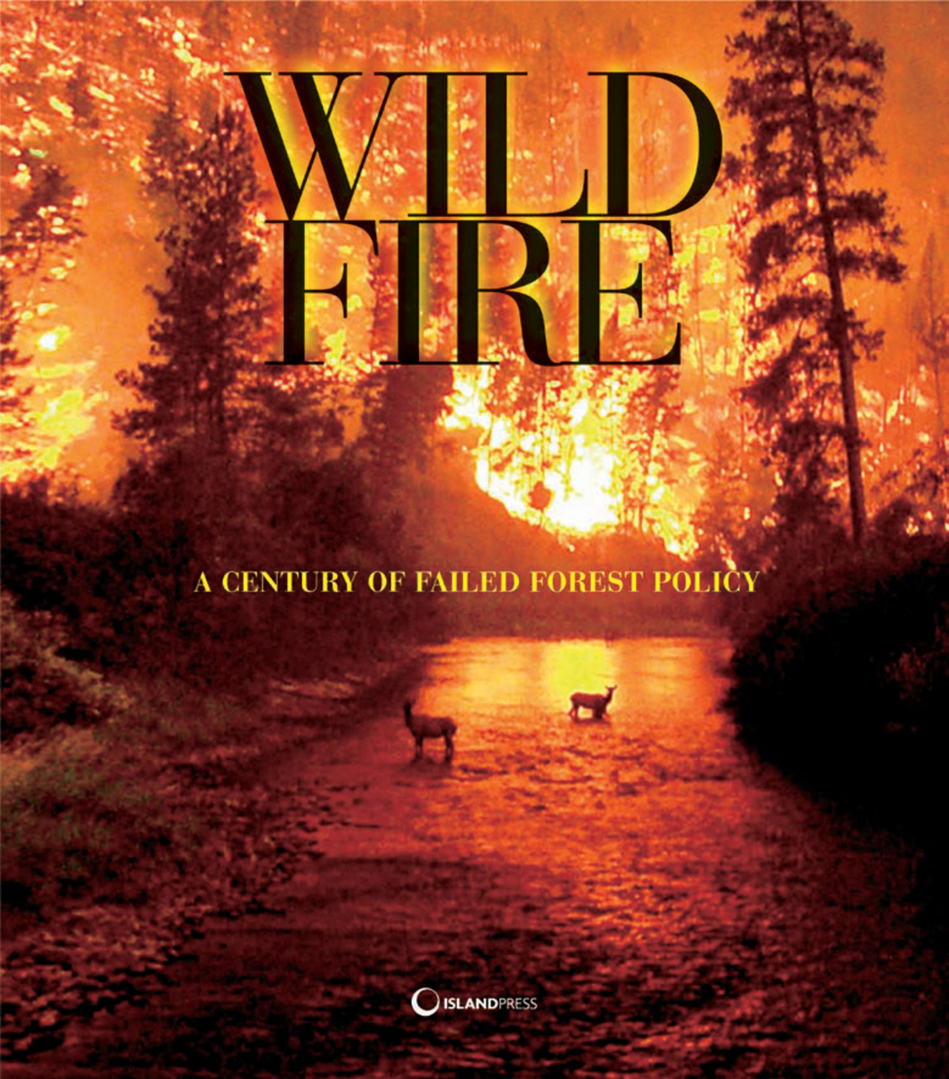 The Wildfire Reader: A Century of Failed Forest Policy (9781597260879 ...